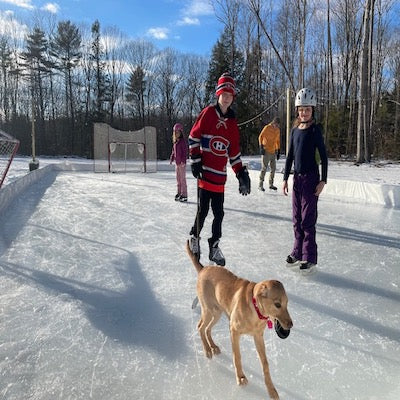 Backyard Ice Hockey Rinks – Best Home Ice Skating Rink Kits – EZ ICE